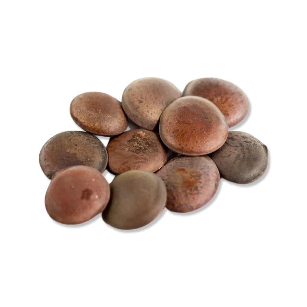 HABAS DE SAN IGNACIO (DRINKING NUTS) - Papa Jim's Botanica