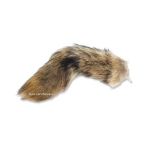 COYOTE TAIL - Papa Jim's Botanica